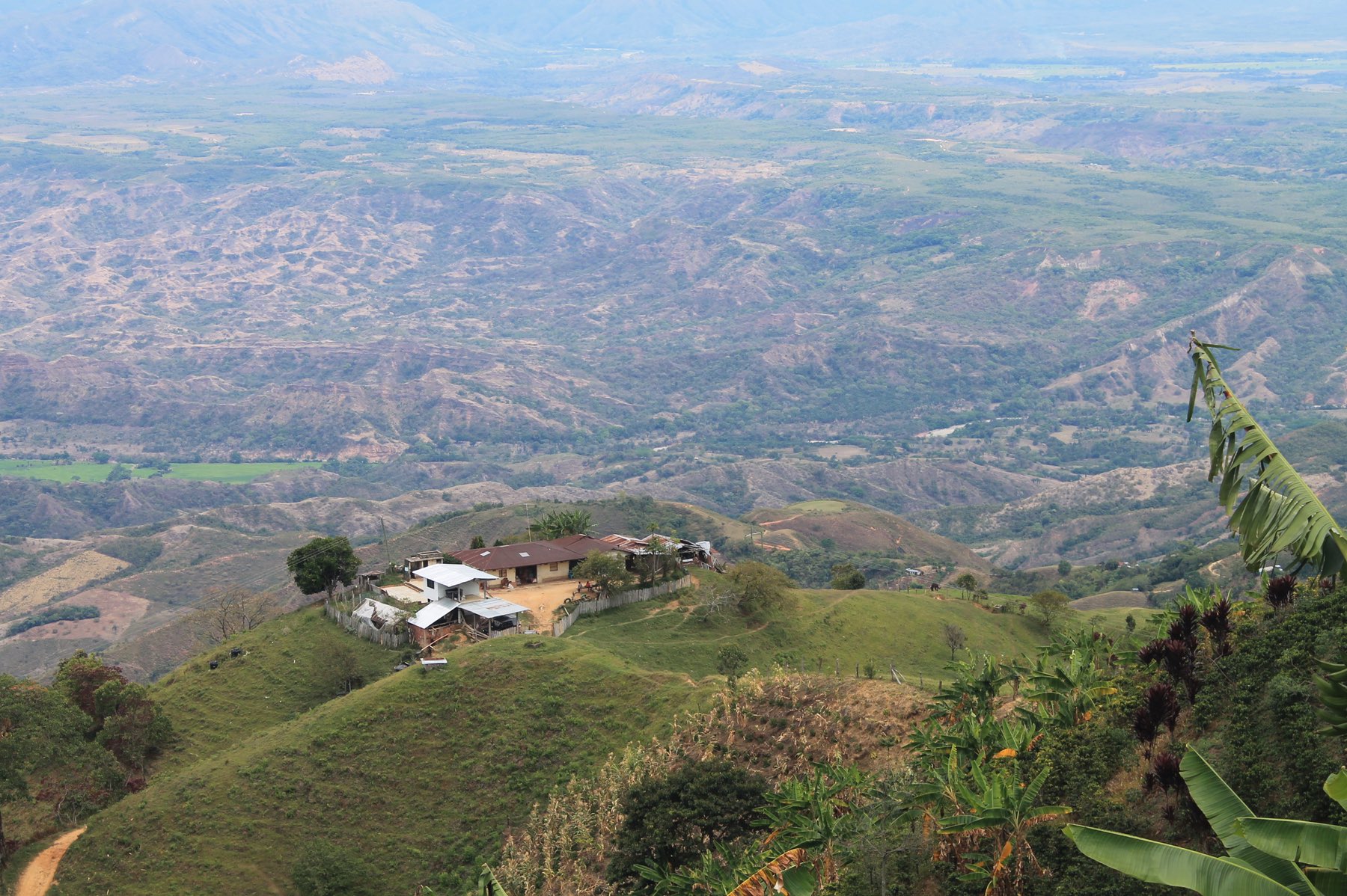 Tolima is Making a Greater Impact on Communities - Tenure Security ...