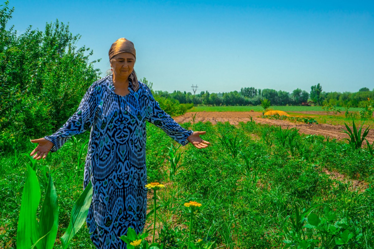 7 Ways USAID is Strengthening Land Rights - Tenure Security: Protecting ...