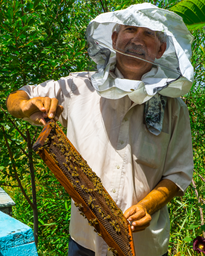 Harvesting Sweet Success - Tenure Security: Protecting Land, Rights ...
