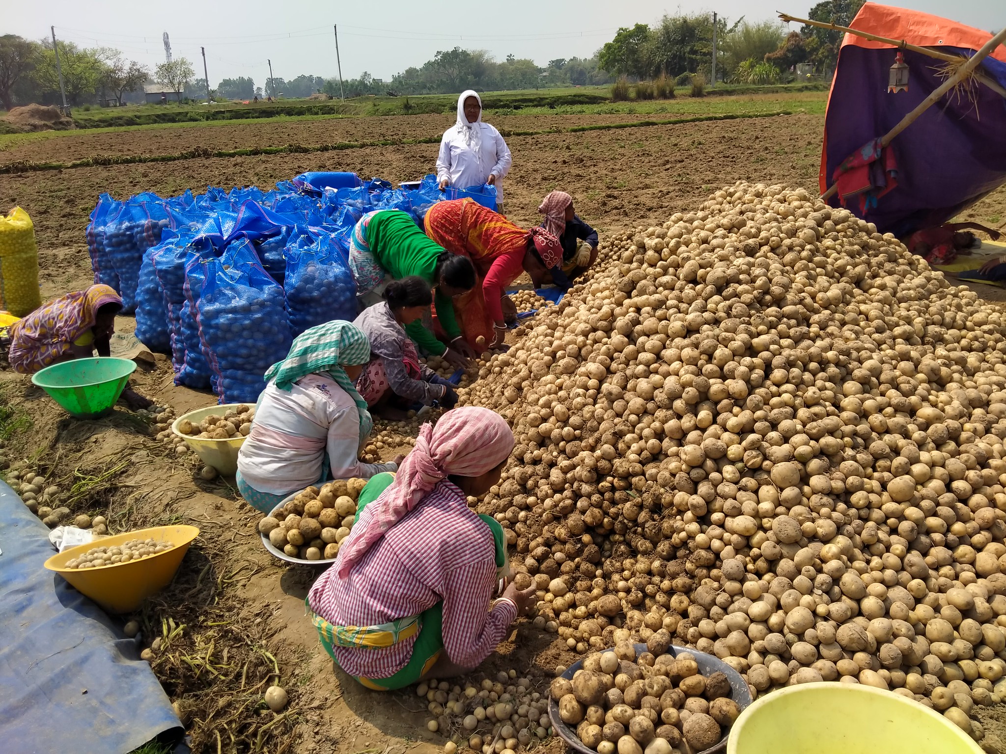 Cultivating Gender Equity - Tenure Security: Protecting Land, Rights ...