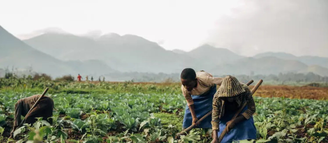 Natural Resource Management Activity Design Guidance - Tenure Security ...